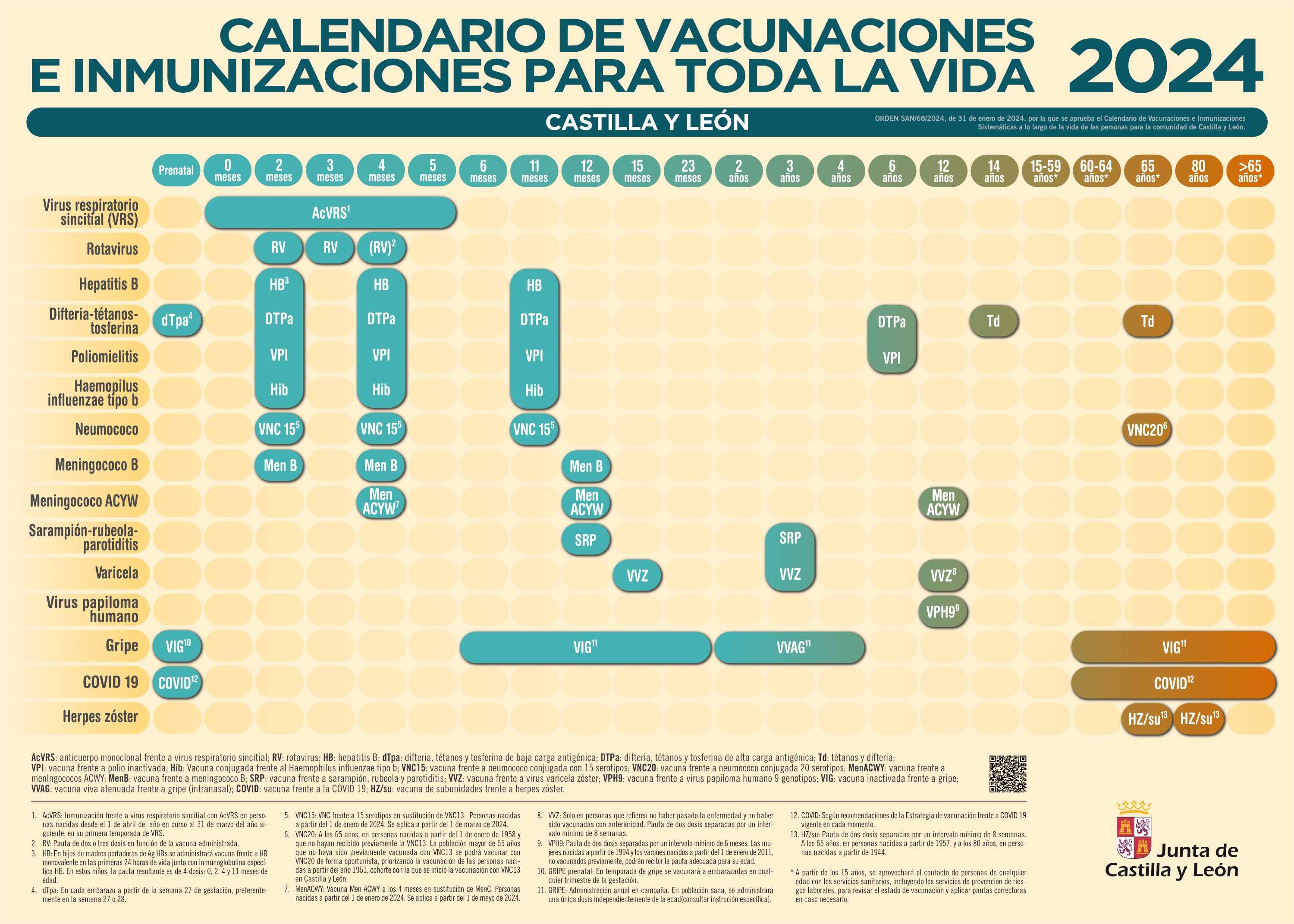 Nuevo Calendario de vacunaciones de inmunizaciones para toda la vida ...
